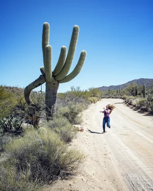 Bajada Loop Drive Stops (Saguaro National Park West) — Flying Dawn ...
