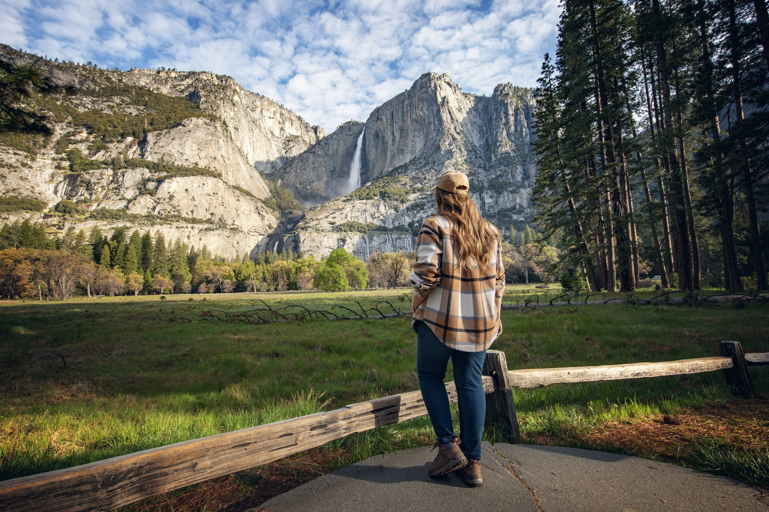 Yosemite 2025 Spring Update (Waterfalls & Wildflowers CURRENT ...