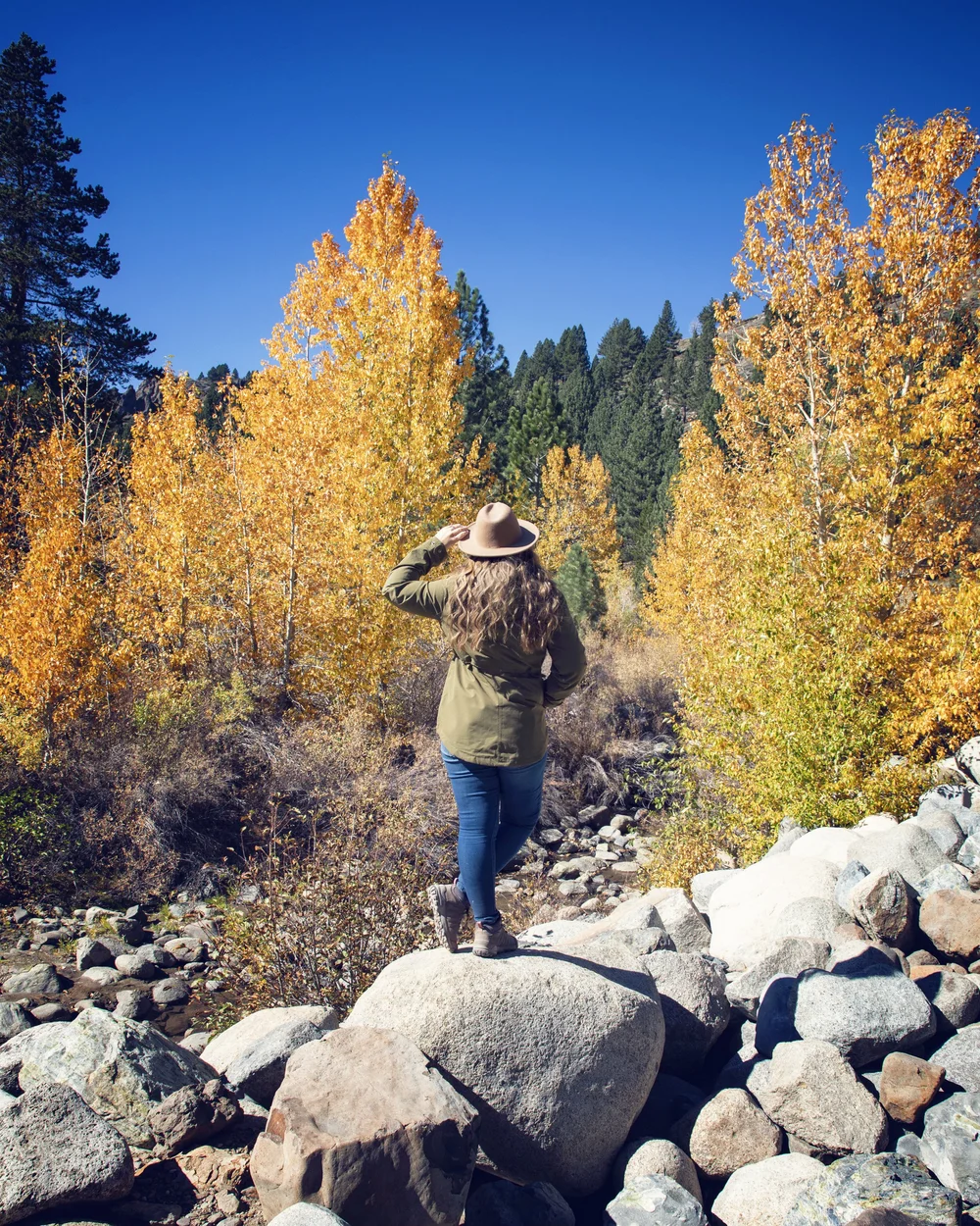 Sonora Pass Fall Colors & Top Spots (High Sierra) — Flying Dawn Marie ...