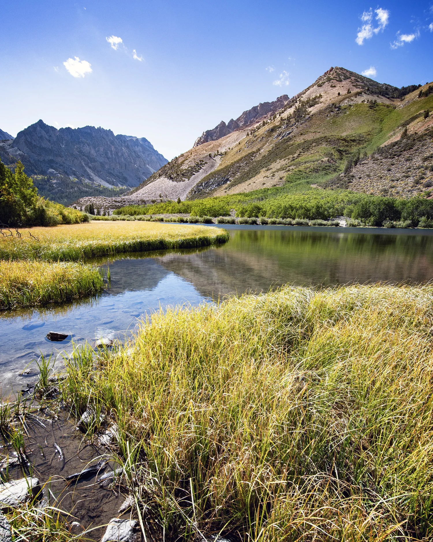 Eastern Sierra Fall Colors CURRENT CONDITIONS (North Lake & Bishop ...