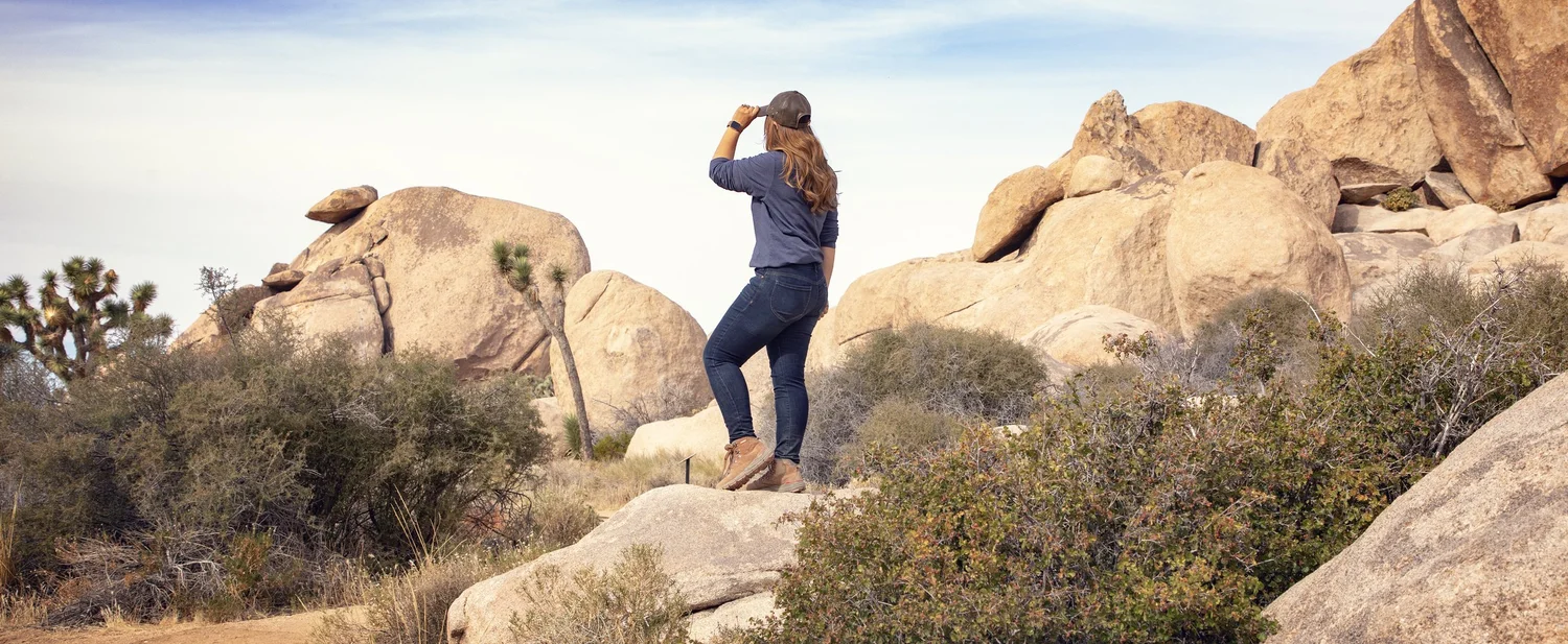Cap Rock Nature Trail & Bizarre History (Joshua Tree National Park ...