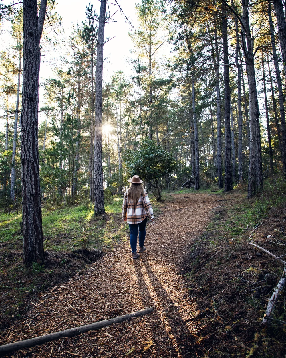 Fiscalini Ranch Preserve - Best Hikes & Coastal Views in Cambria, CA ...