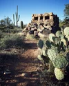 Bajada Loop Drive Stops (Saguaro National Park West) — Flying Dawn ...