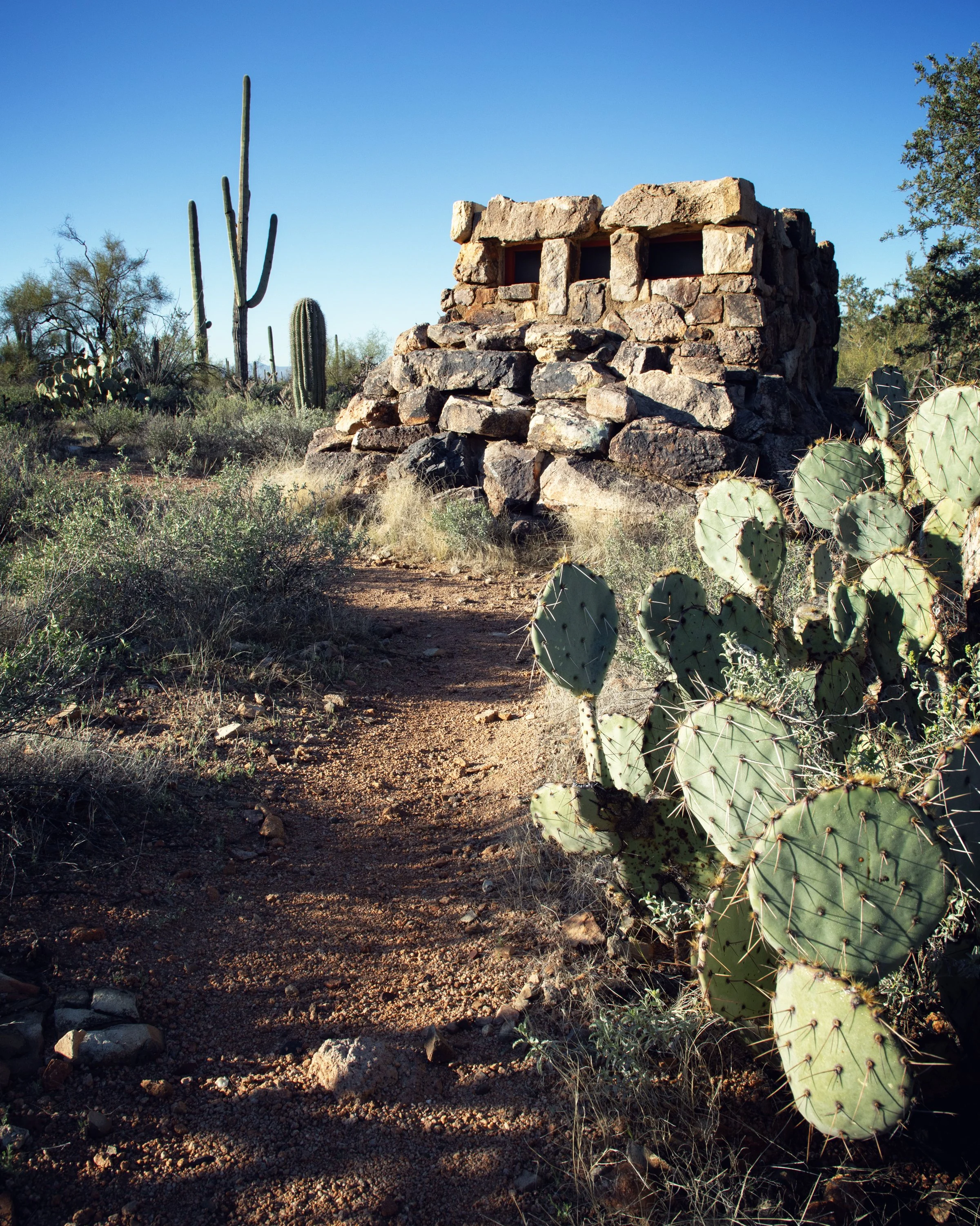 Bajada Loop Drive Stops (Saguaro National Park West) — Flying Dawn ...