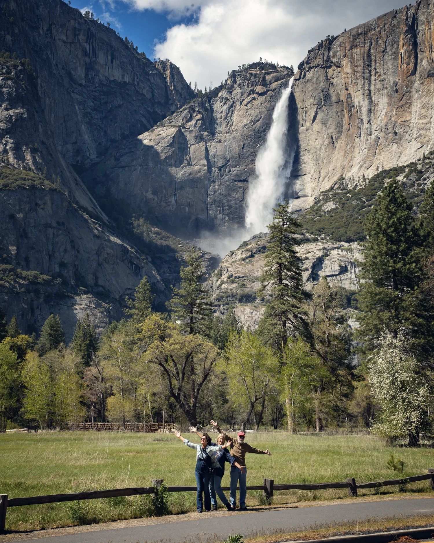 Yosemite 2025 Spring Update (Waterfalls & Wildflowers CURRENT ...