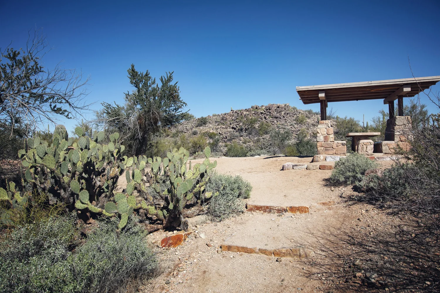 Signal Hill Petroglyphs (Saguaro National Park West) — Flying Dawn ...