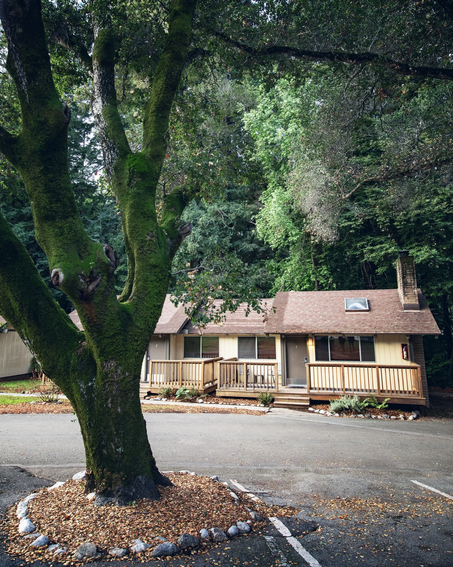 Big Sur Lodge - The Perfect Home Base for Any Big Sur Trip — Flying ...