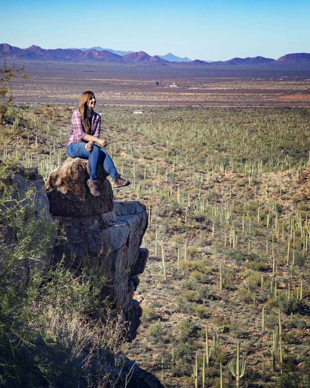 Bajada Loop Drive Stops (Saguaro National Park West) — Flying Dawn ...