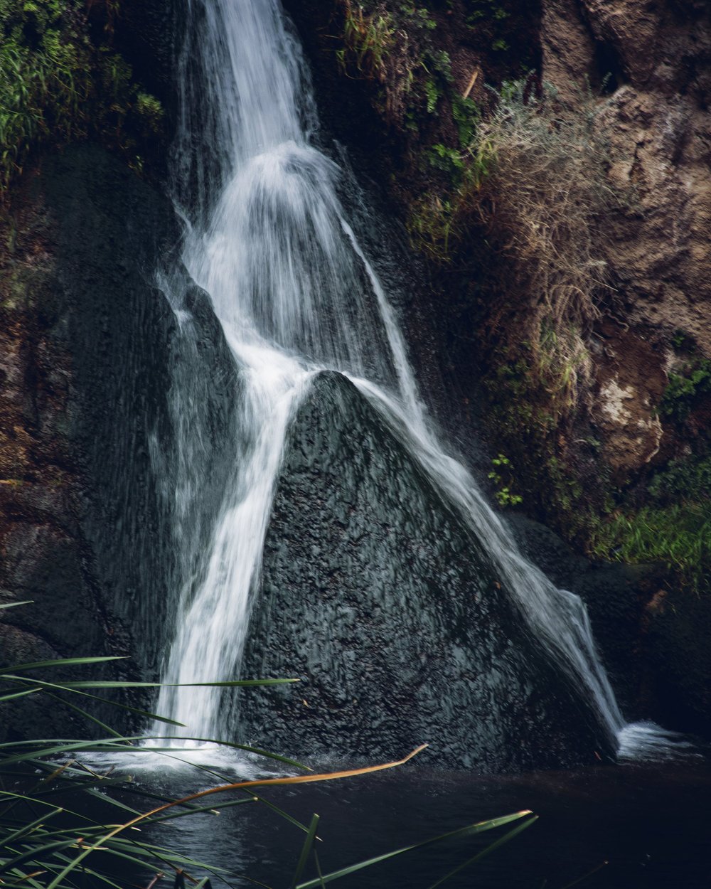 Darwin Falls (Death Valley National Park) — Flying Dawn Marie | Travel ...