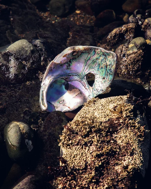Moonstone Beach First Timers Guide (Cambria, CA) — Flying Dawn Marie ...