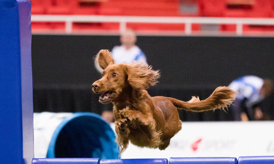 Making agility training plans 101 — AgiNotes