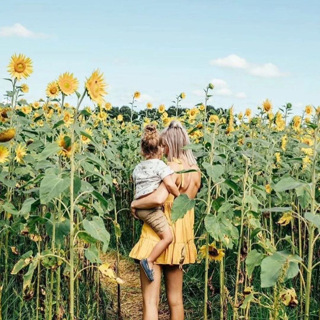 48 Hours in the Tweed — Husk Farm Distillery