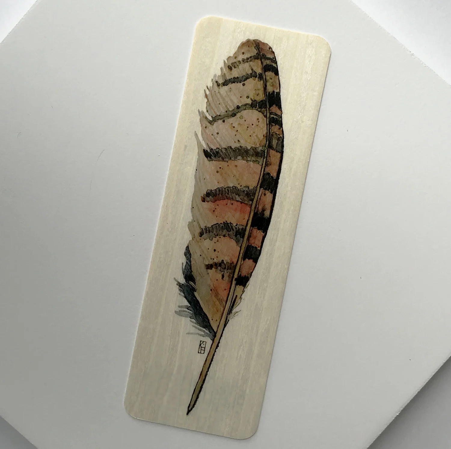 Barred Owl Feather