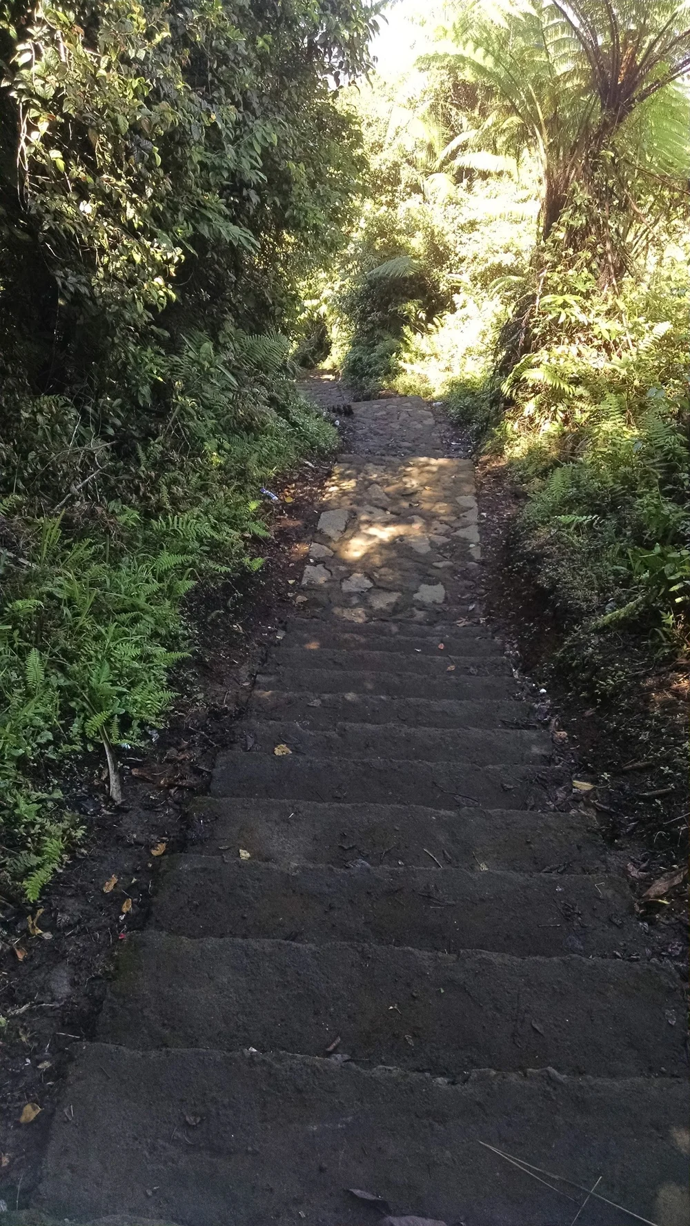 Things to Know When Climbing the Steps of Pura Lempuyang