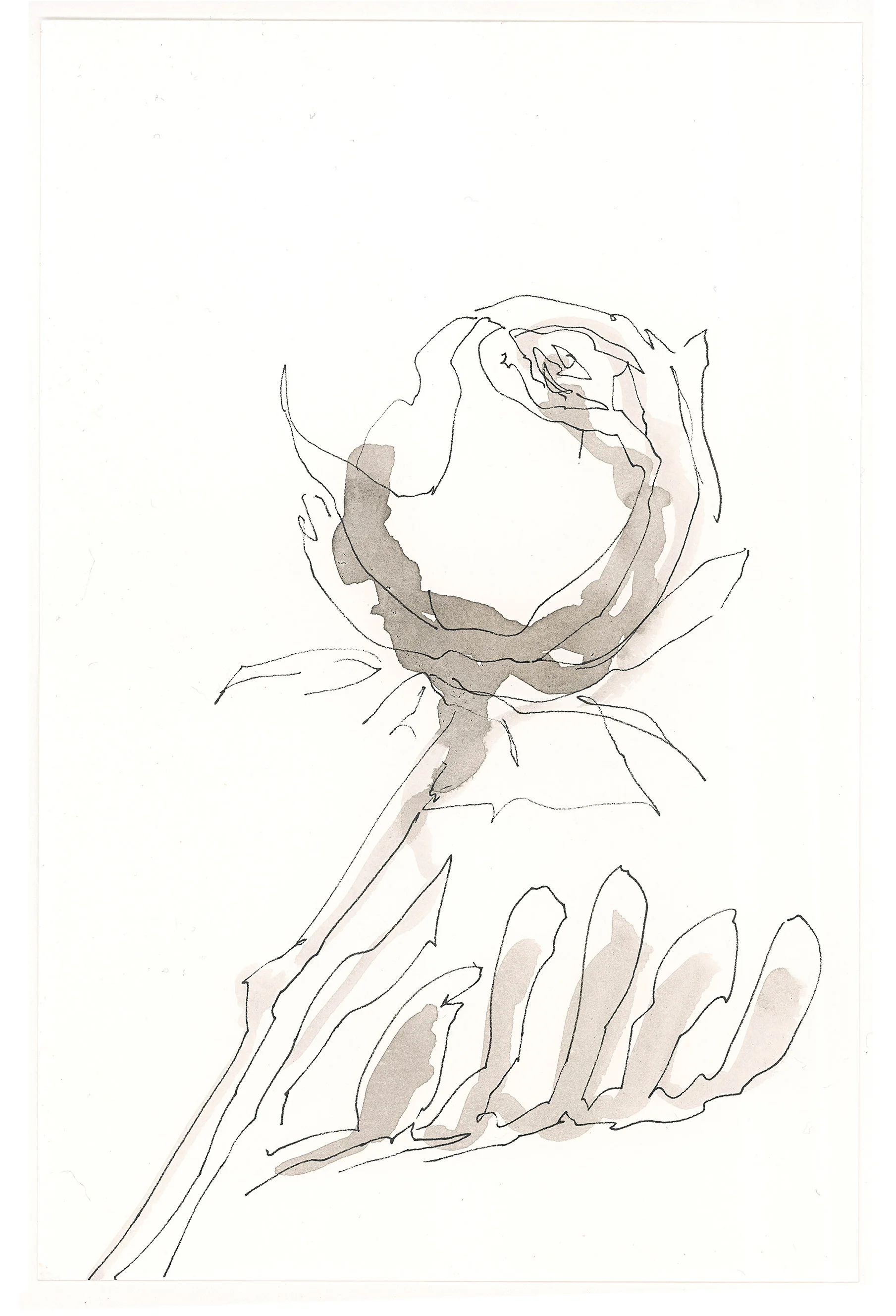 Mary Simpson - Libido of the Forest — SITUATIONS