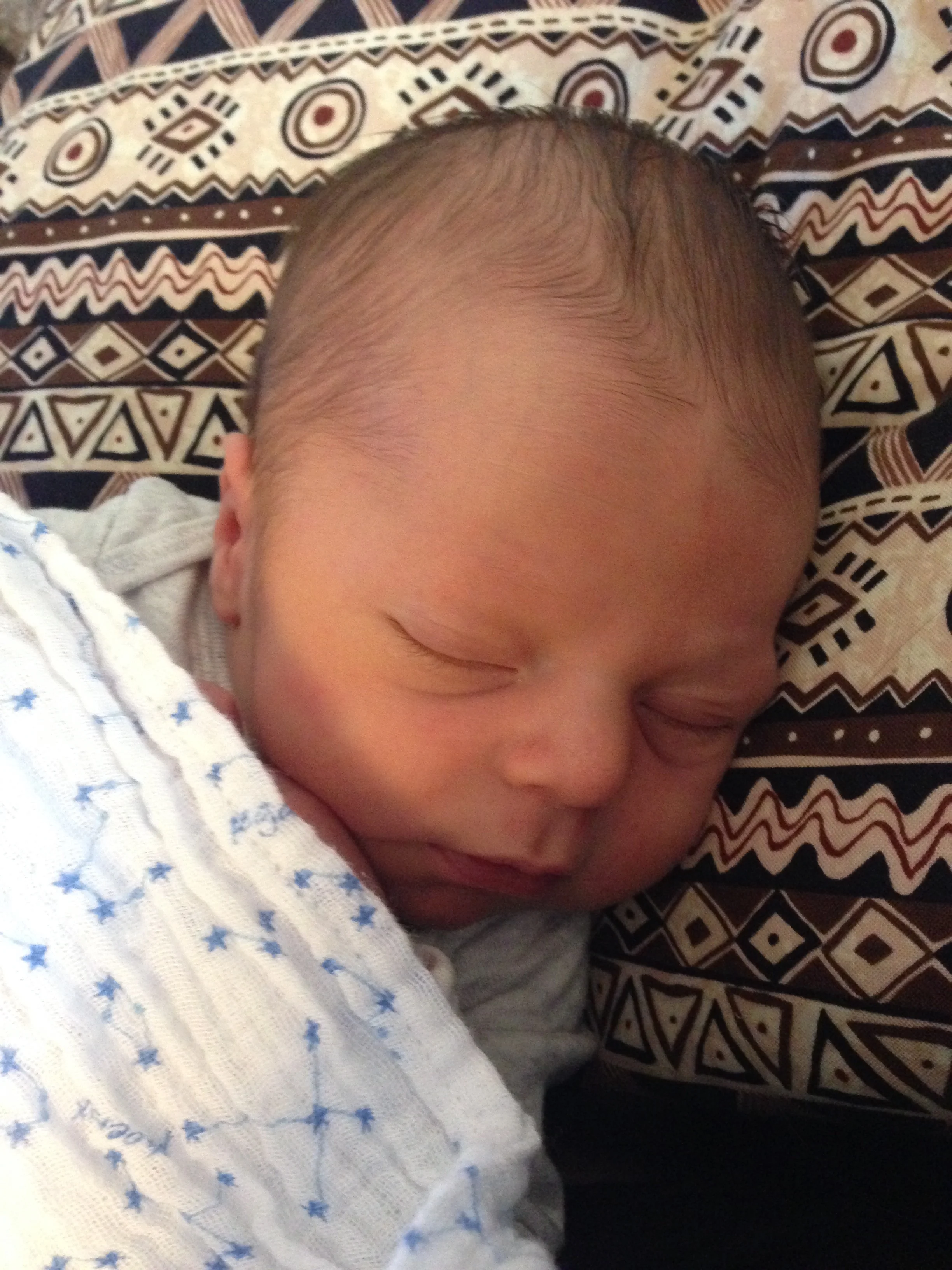 Fertility and Success Stories — Northside Holistic Center