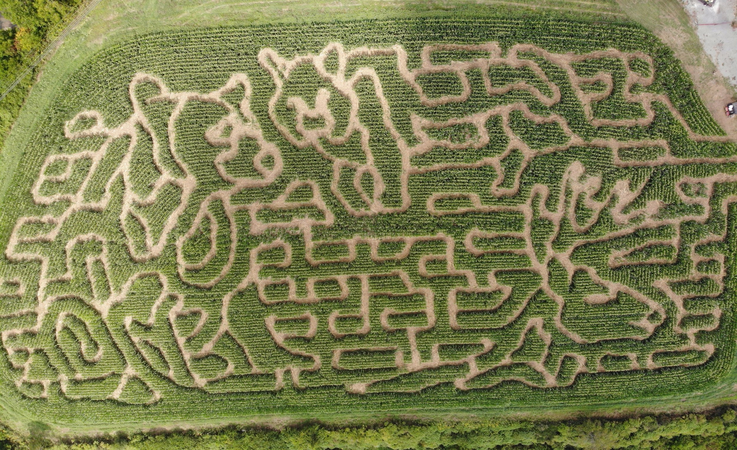 Crab Orchard Corn Maze — Historic Crab Orchard Museum