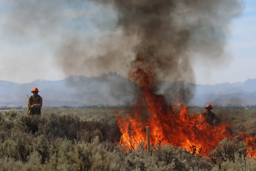Nevada Fire InfoNevada Fire Information