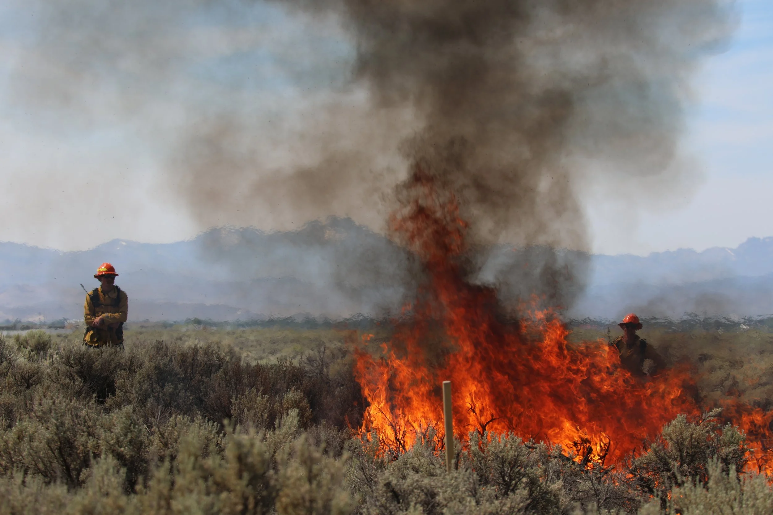 Nevada Fire InfoNevada Fire Information
