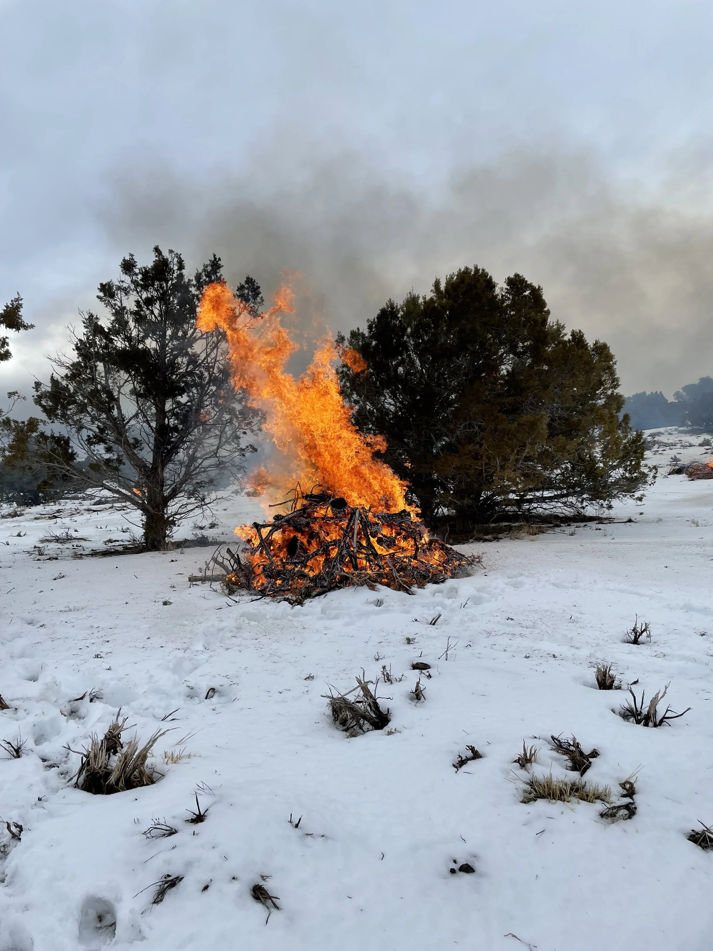 Nevada Fire InfoNevada Fire Information