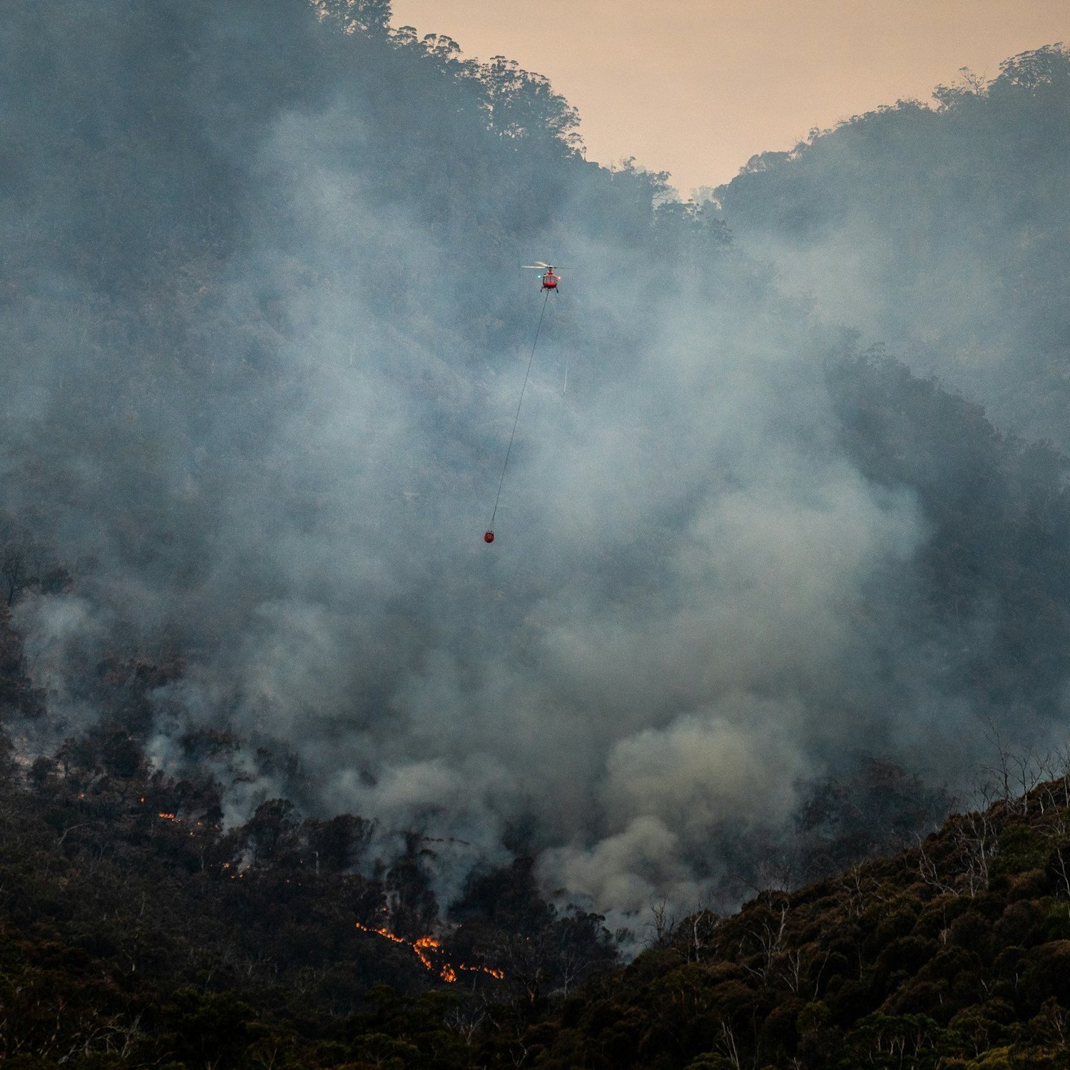 Nevada Fire Info
