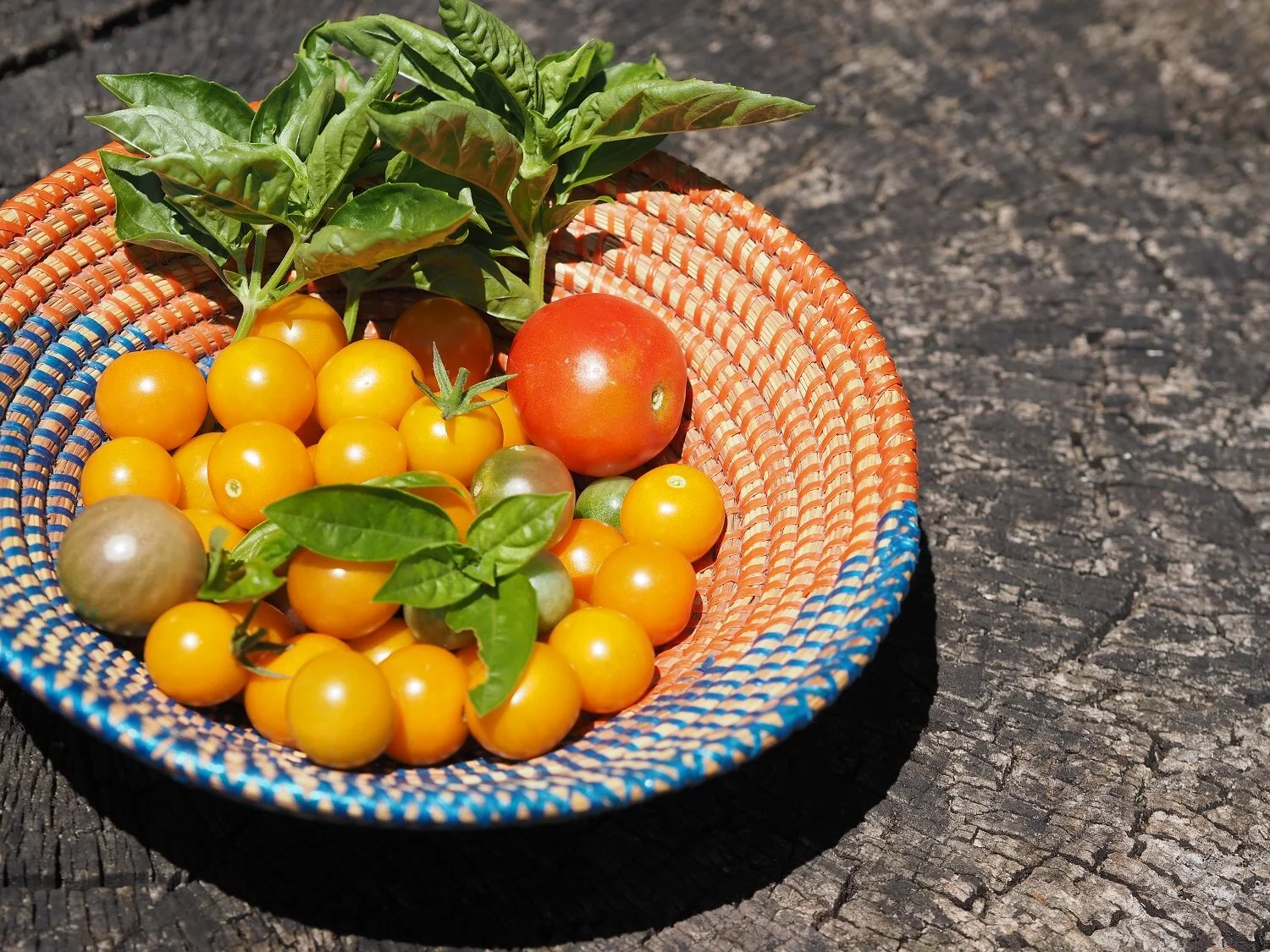 Personal Chef Services Chicago | The Levantine Kitchen