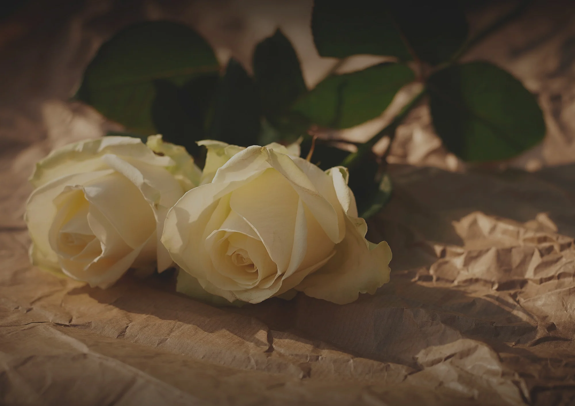 Contact — Parkgrove Crematorium