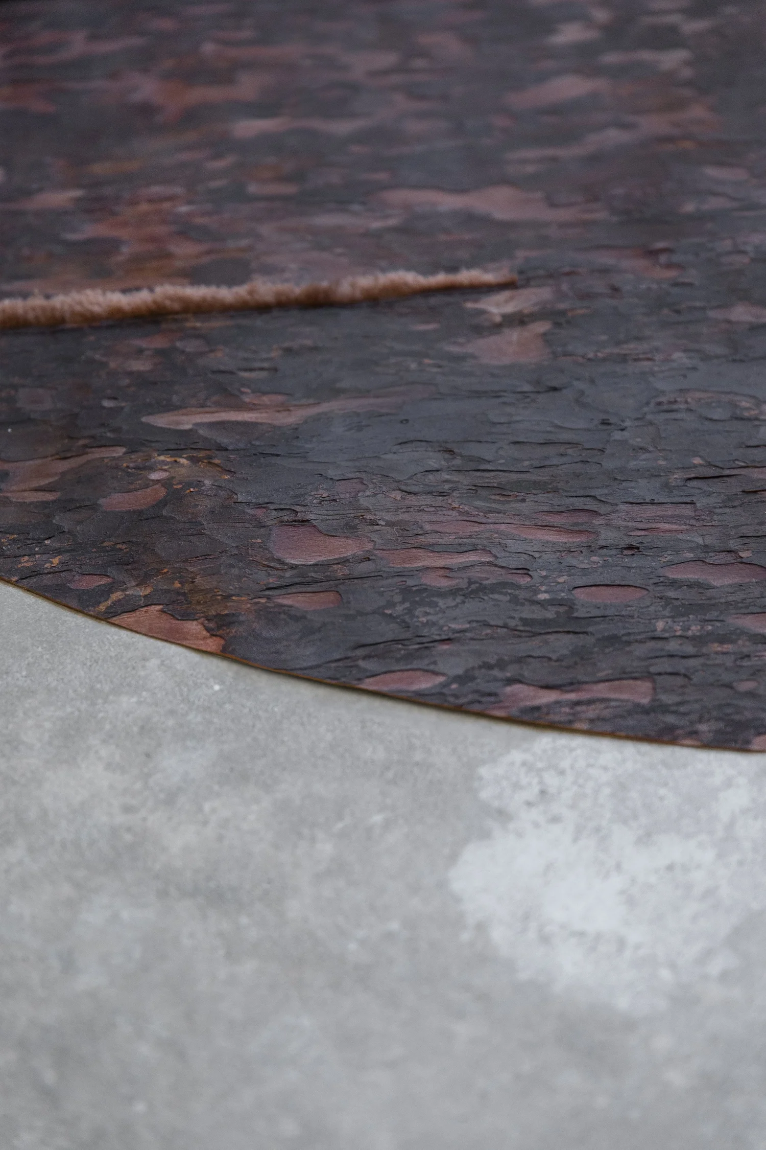 PineSkins — Sarmite Polakova
