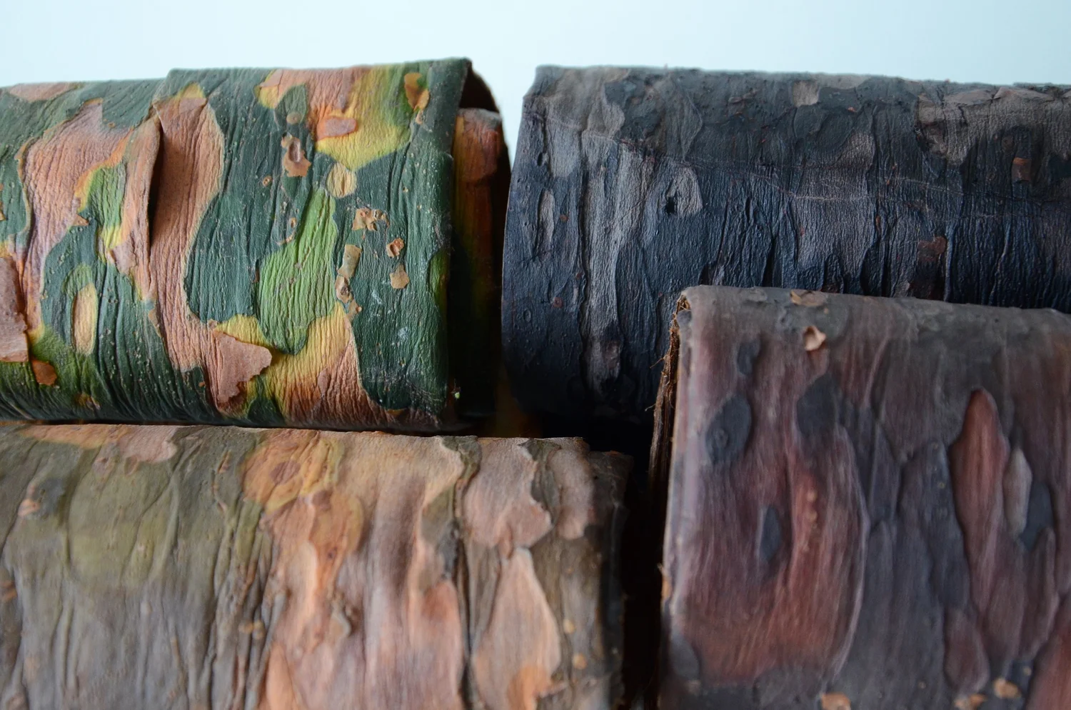 PineSkins — Sarmite Polakova