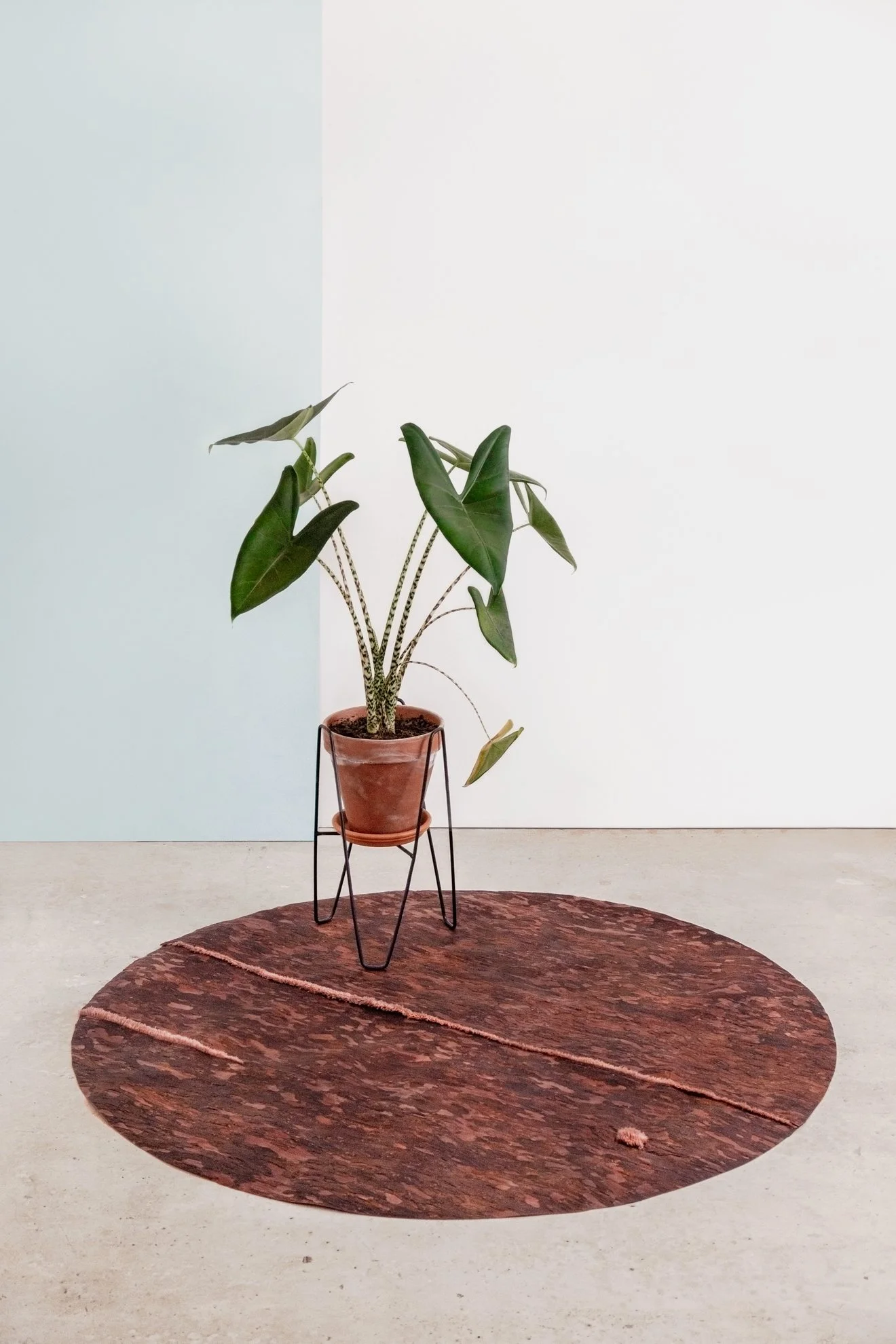 PineSkins — Sarmite Polakova
