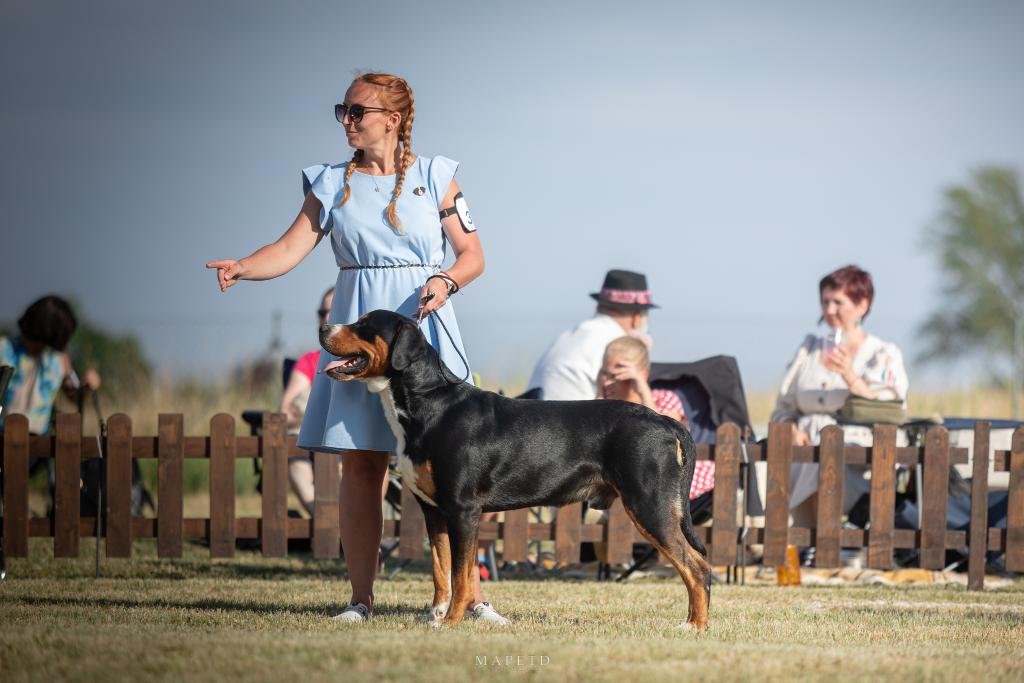 Calvin Tao — Balihara Ranch