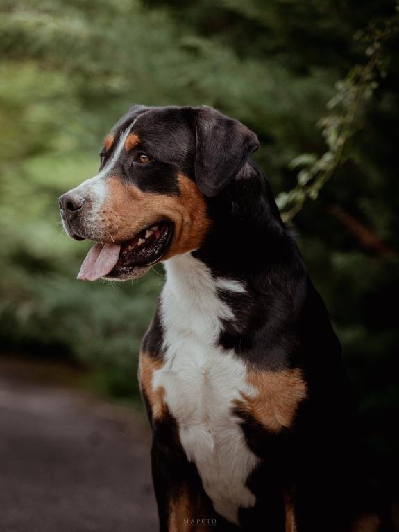 Calvin Tao — Balihara Ranch