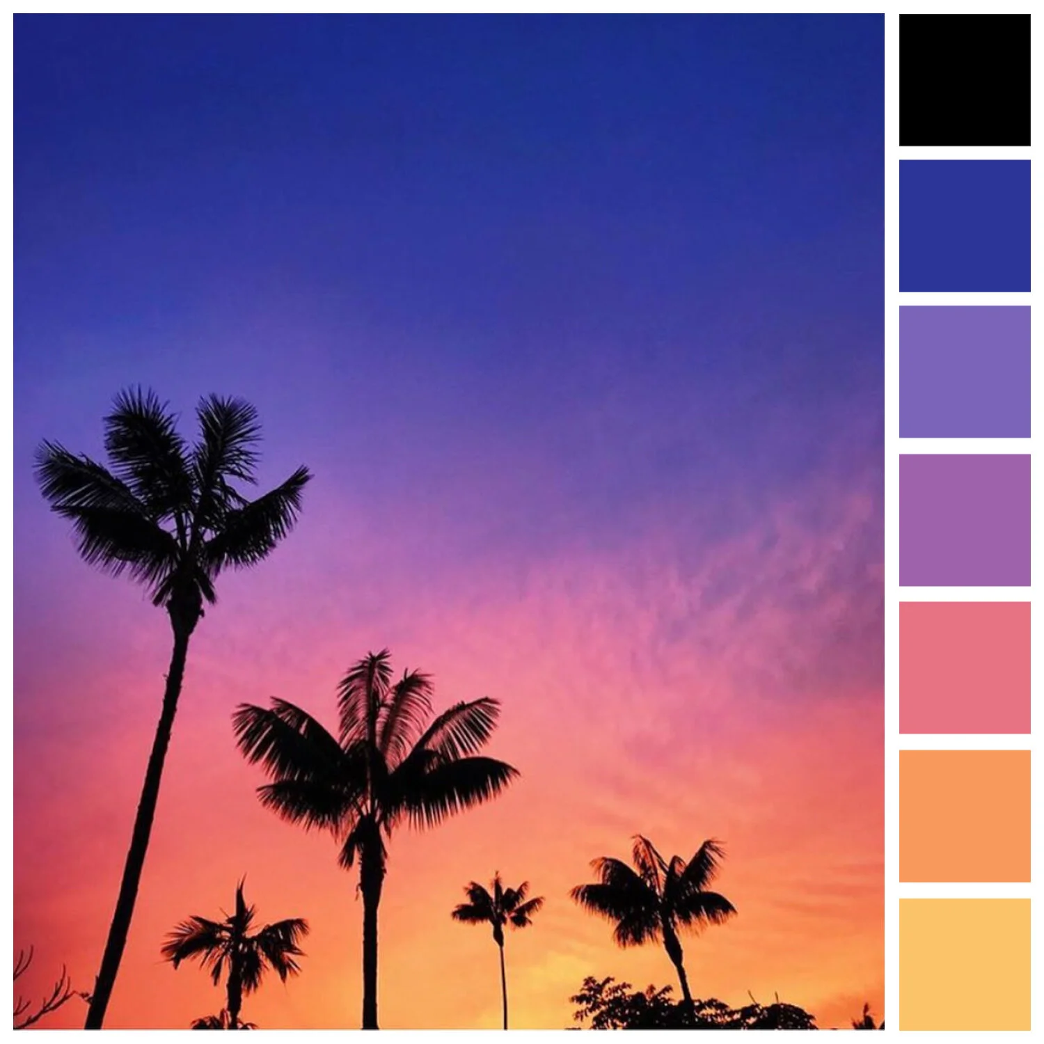 California Sunset — Stacia Farrar