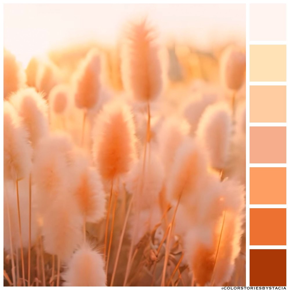 Peach Fuzz Palette 🍑 — Stacia Farrar