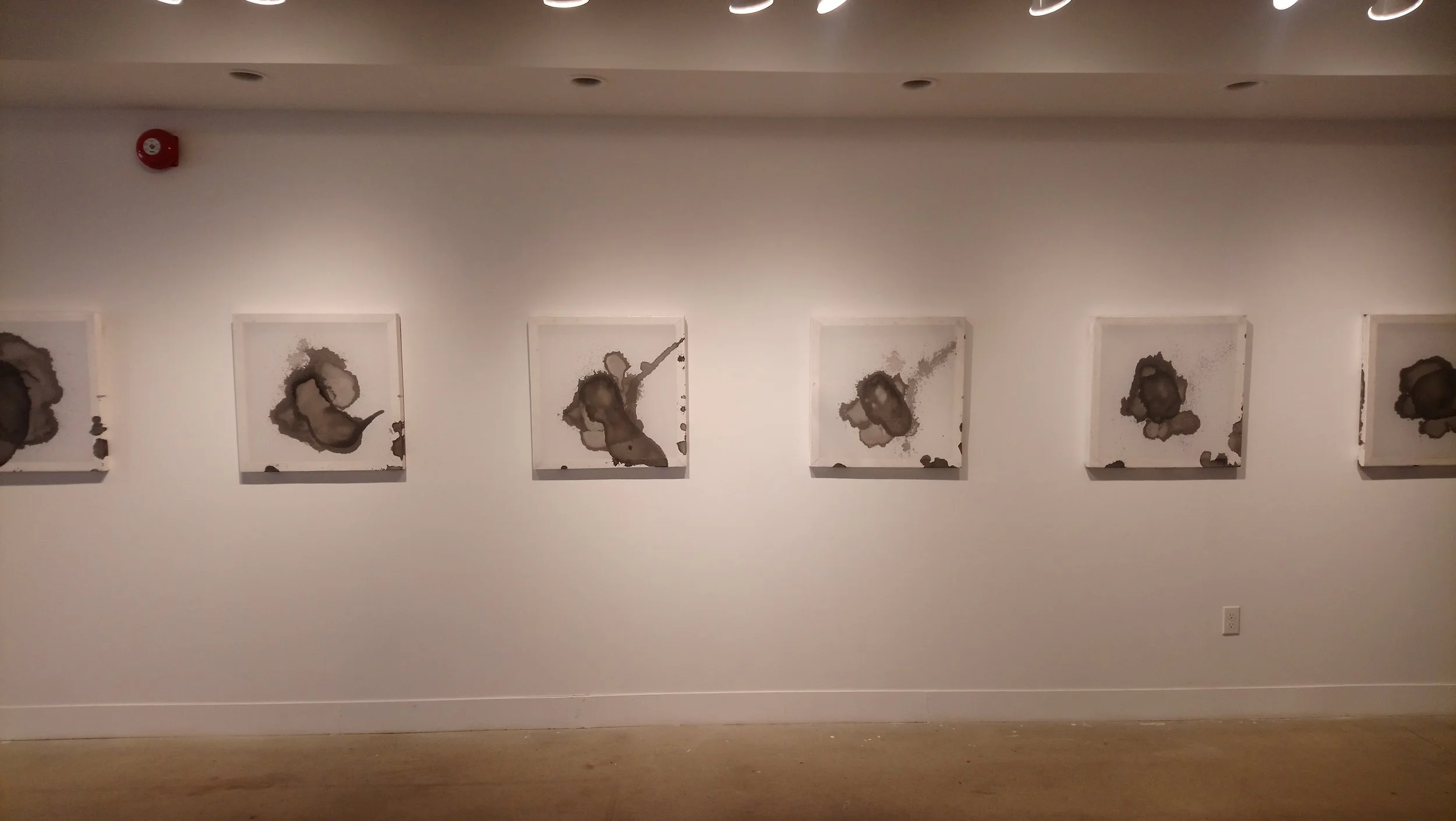 Anthony. Di Fazio — Starving Artists