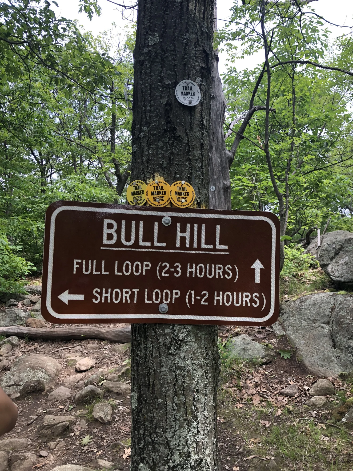 Cornish Estate Trail Loop — Cindy's Journal