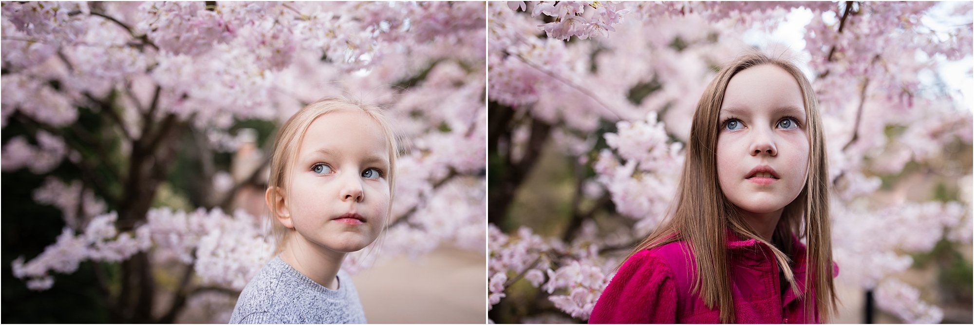 Spring Photo Session Locations In Portland Oregon — Hunnicutt Photography