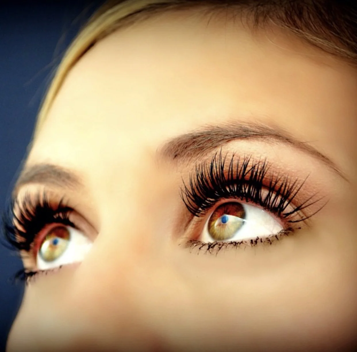 Shea Beauty Institute at Lorenco's Salon