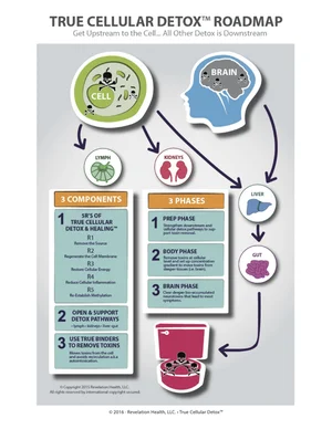 True Cellular Detox — Empowered Health