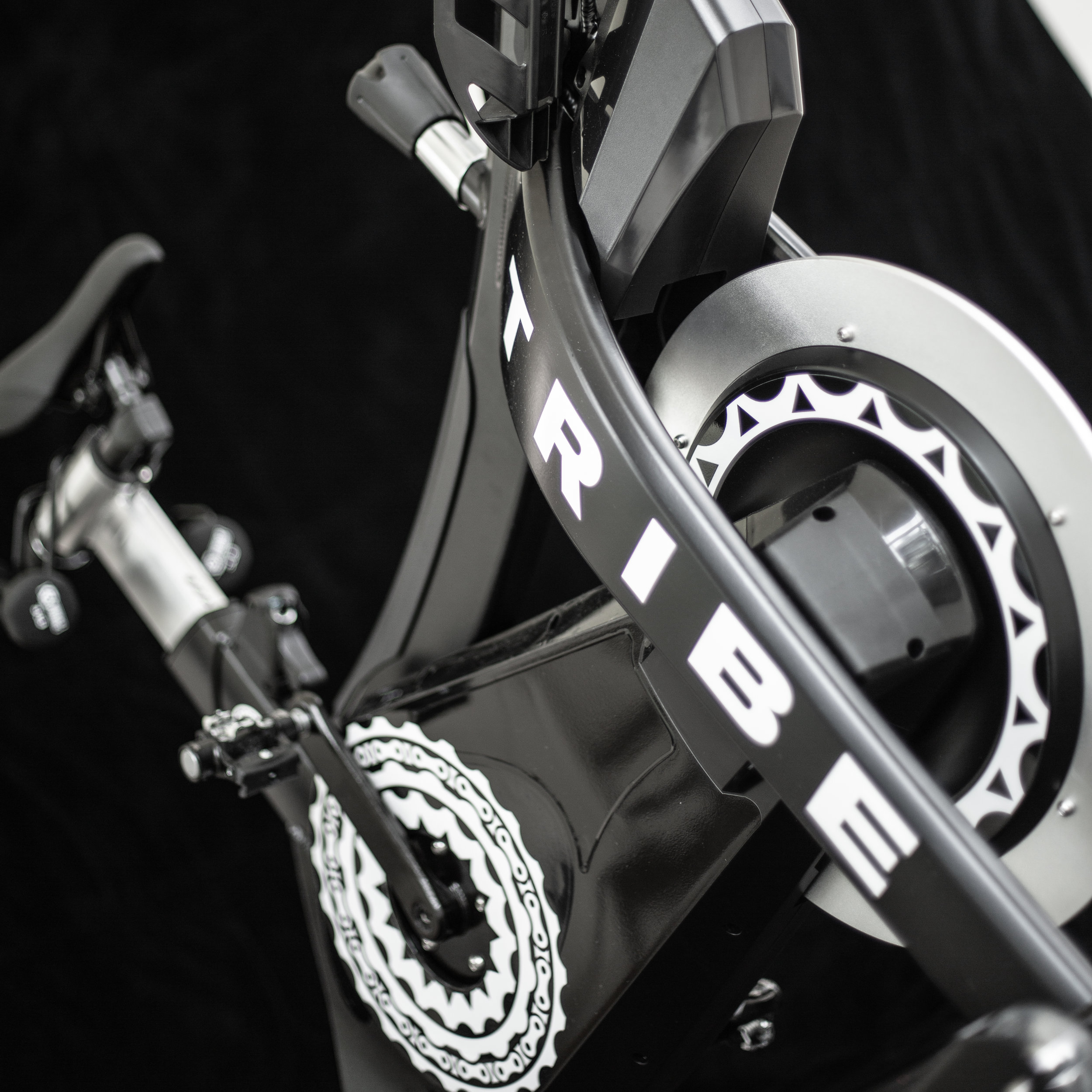 Tribe Cycle - Annapolis & Baltimore