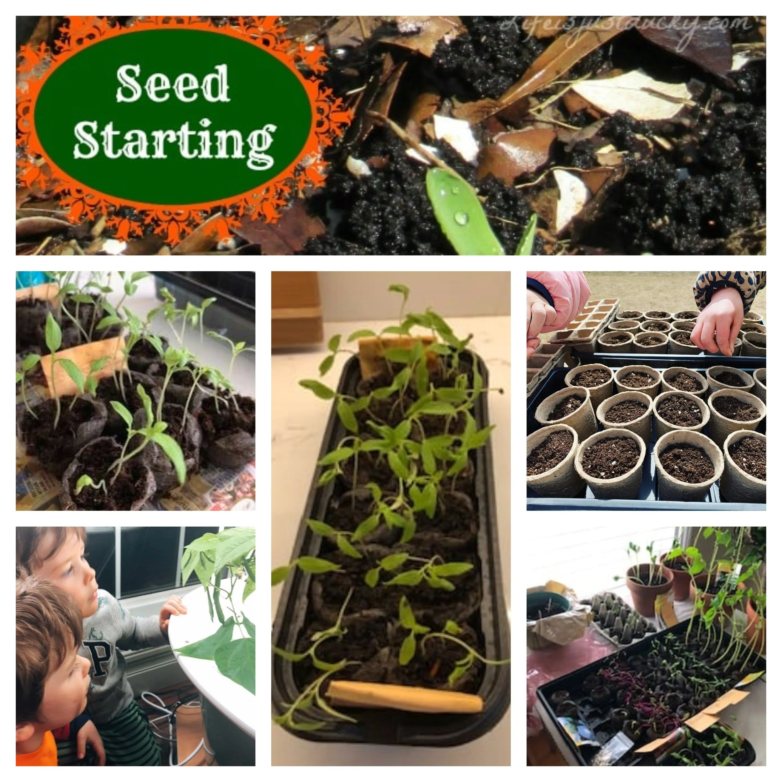 Spiritual Garden — St. John the Evangelist Anglican Church