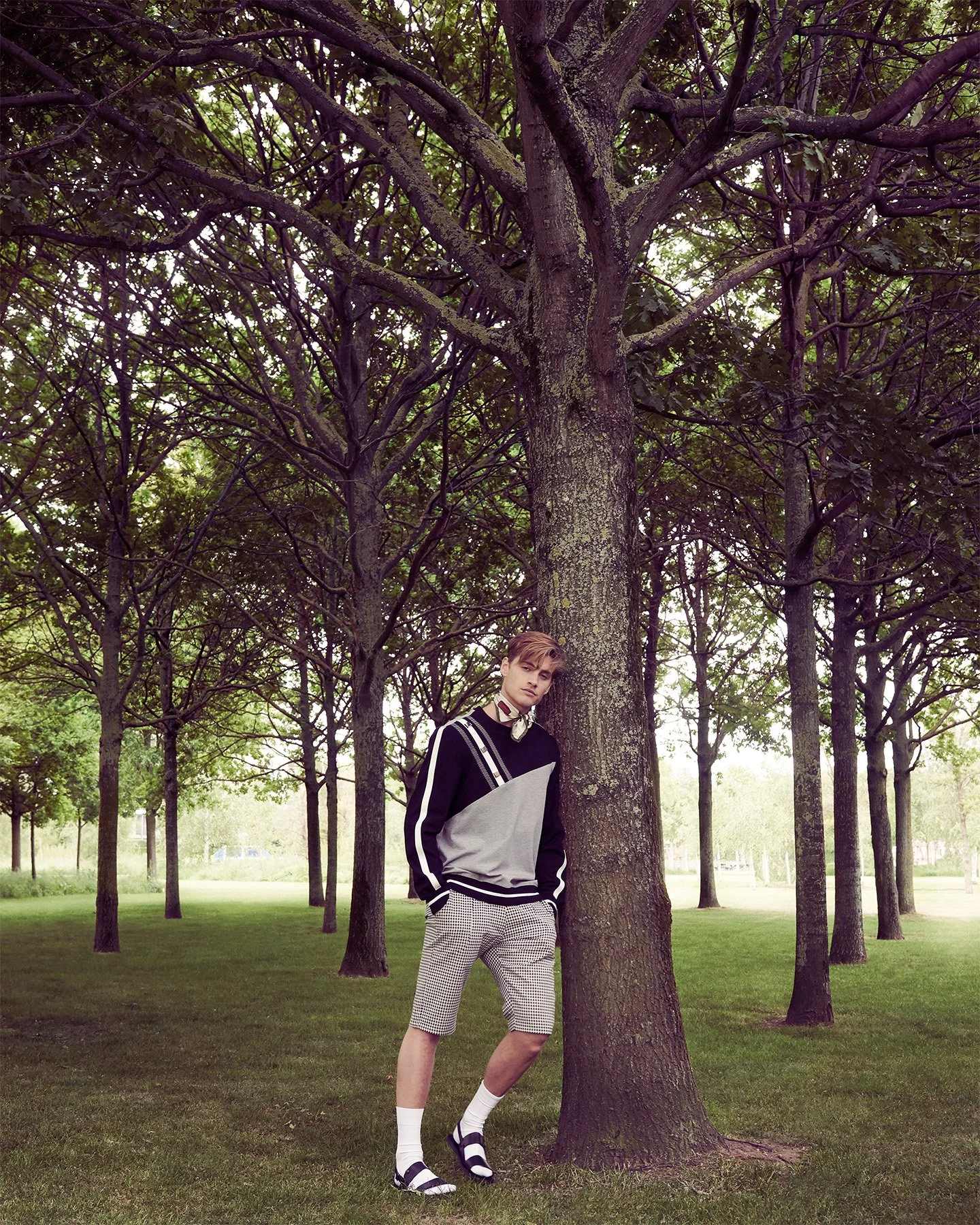 Paul Farnham, Photographer