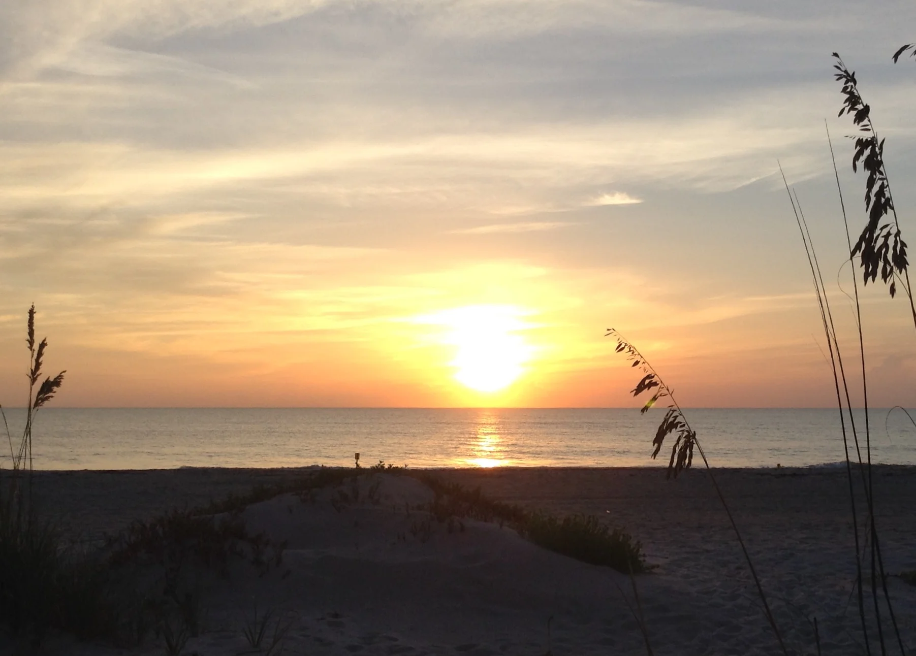 Contact — Nancy Moon, MA, LMHC