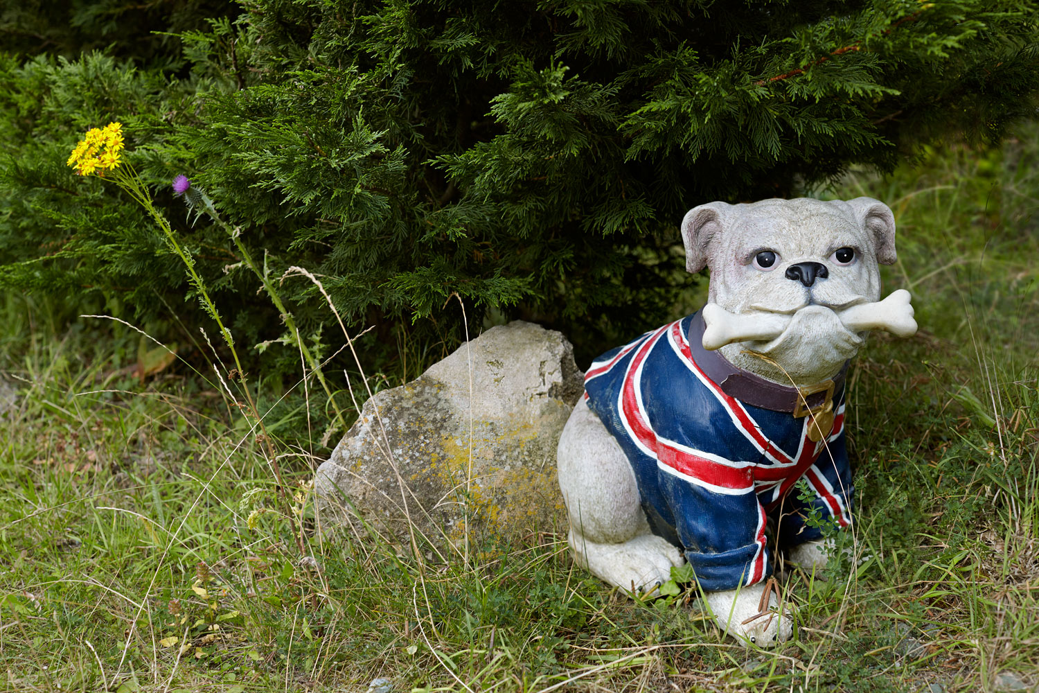 Alan Powdrill | Professional Editorial & Advertising Photographer ...