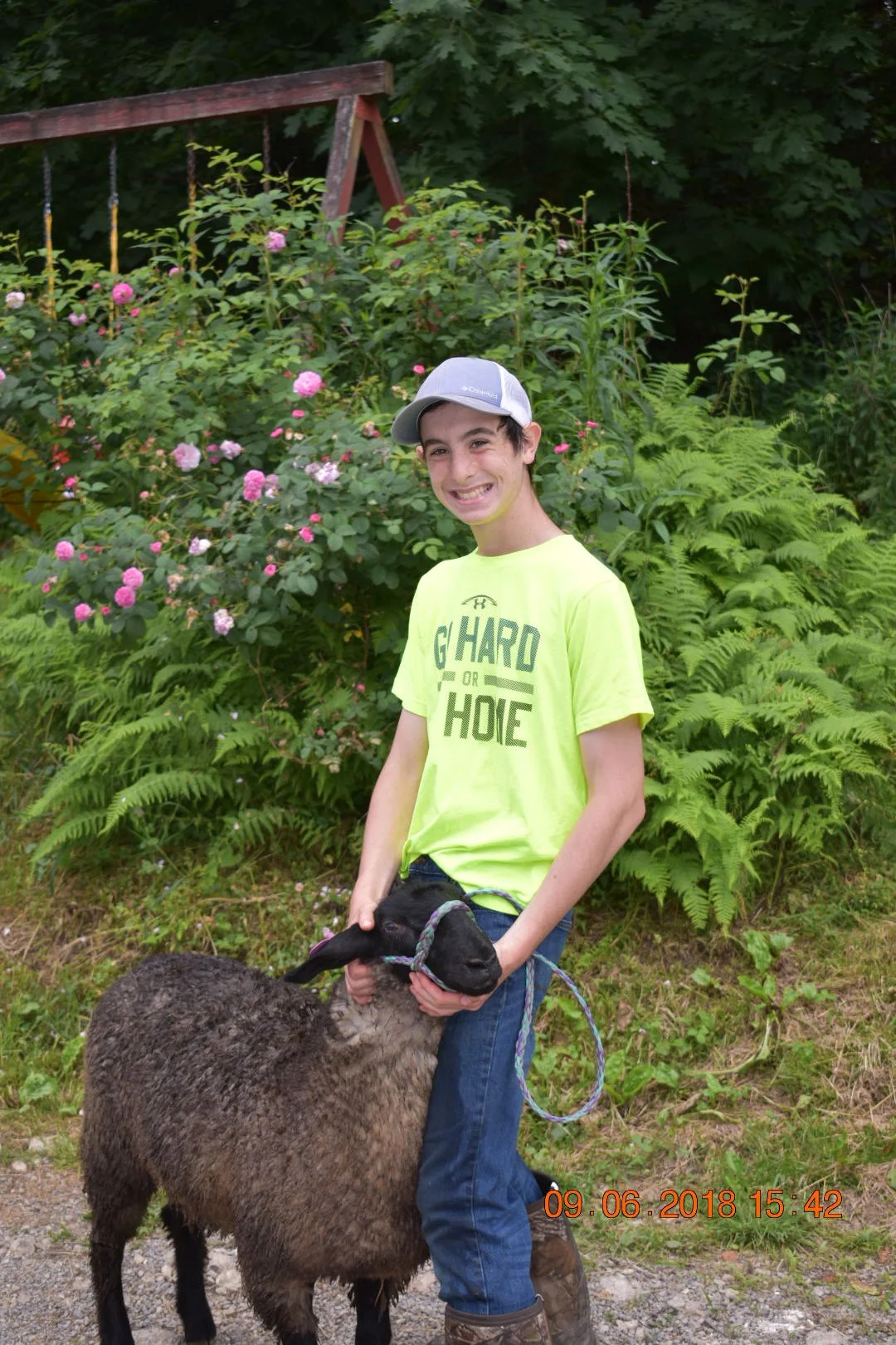 GOODNESS GROWS FARM & FOOD