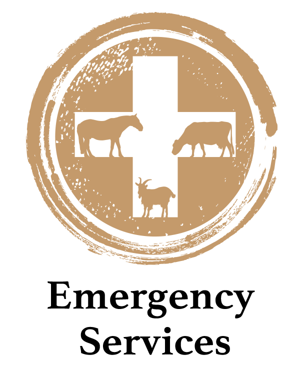 Rideau-St. Lawrence Veterinary Services