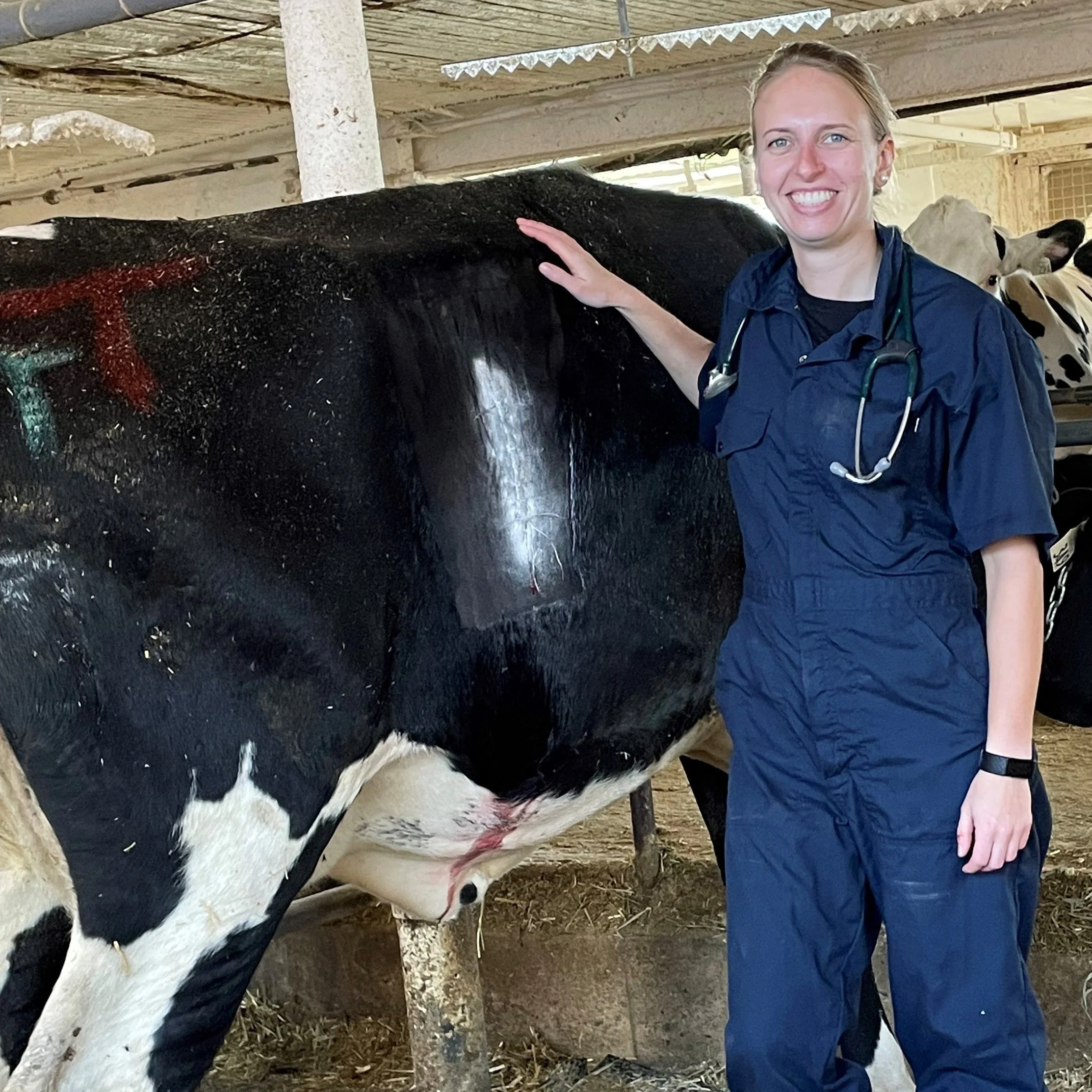 Our Veterinarians — Rideau-St. Lawrence Veterinary Services