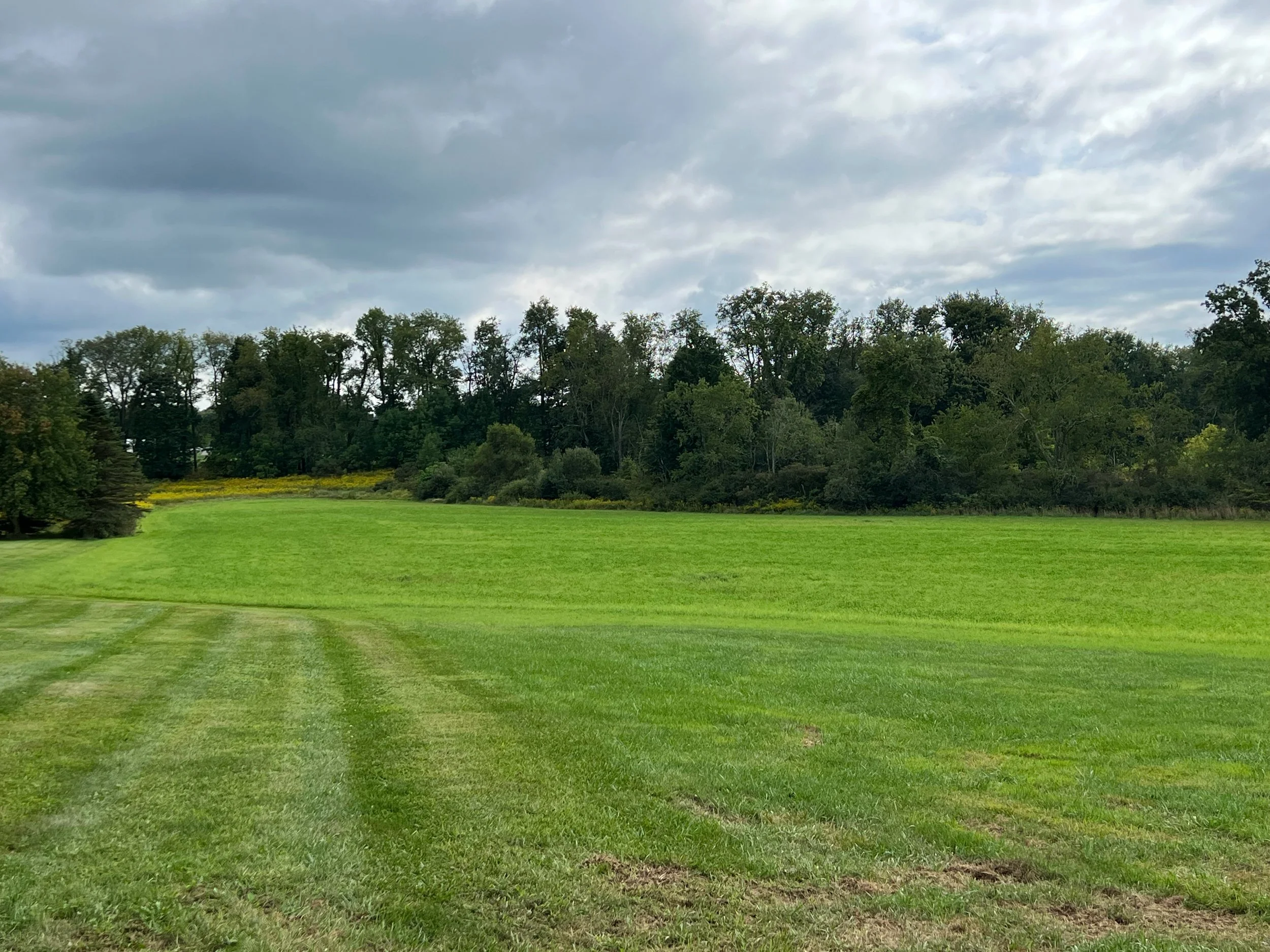 Our Listings — Grove City Realty