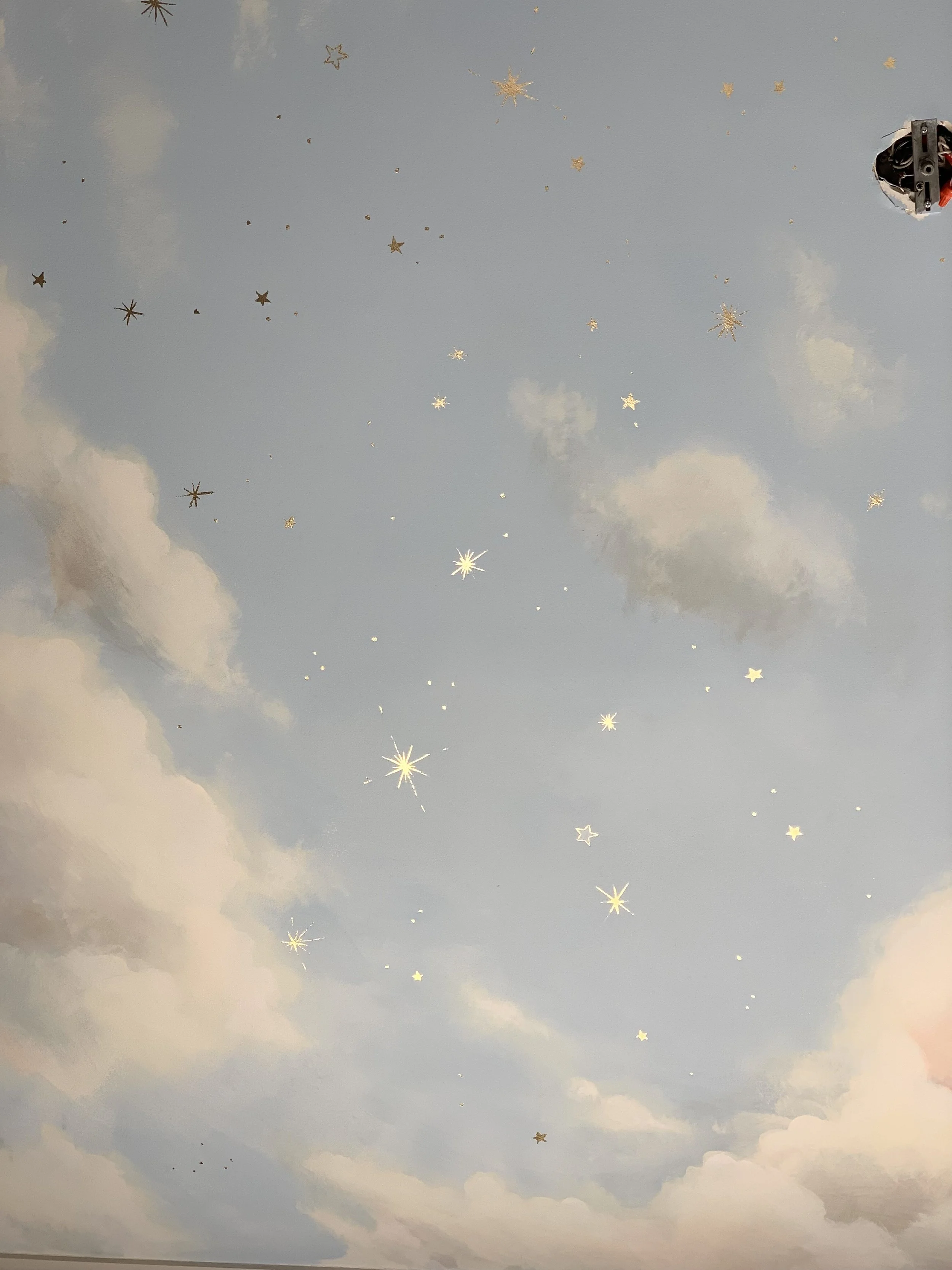 A Perfect Sky Mural in Berkeley CA — Marnie Vollenhals