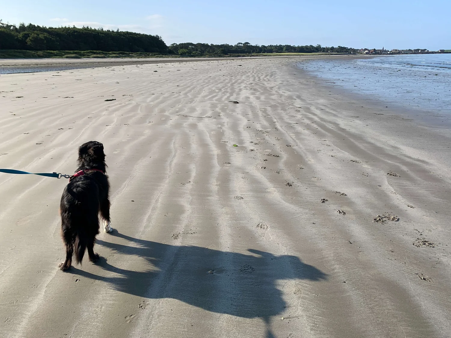 5 lessons of 2021 — SR STUDIO